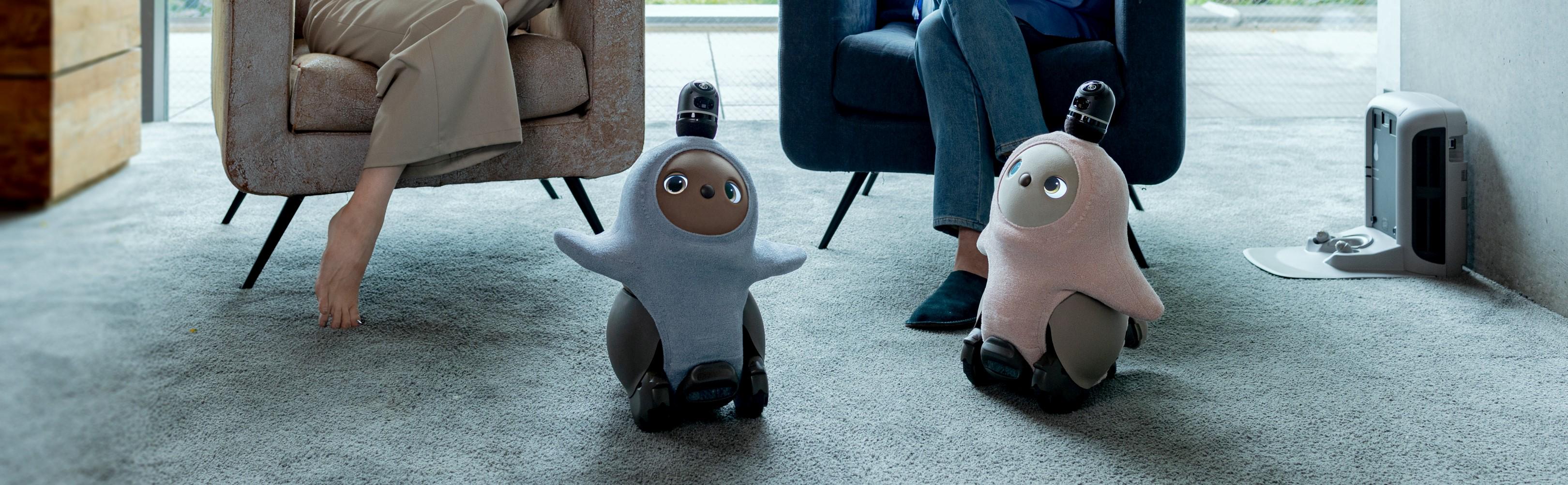 GROOVE X株式会社の中途採用/求人 | 転職サイトGreen(グリーン)